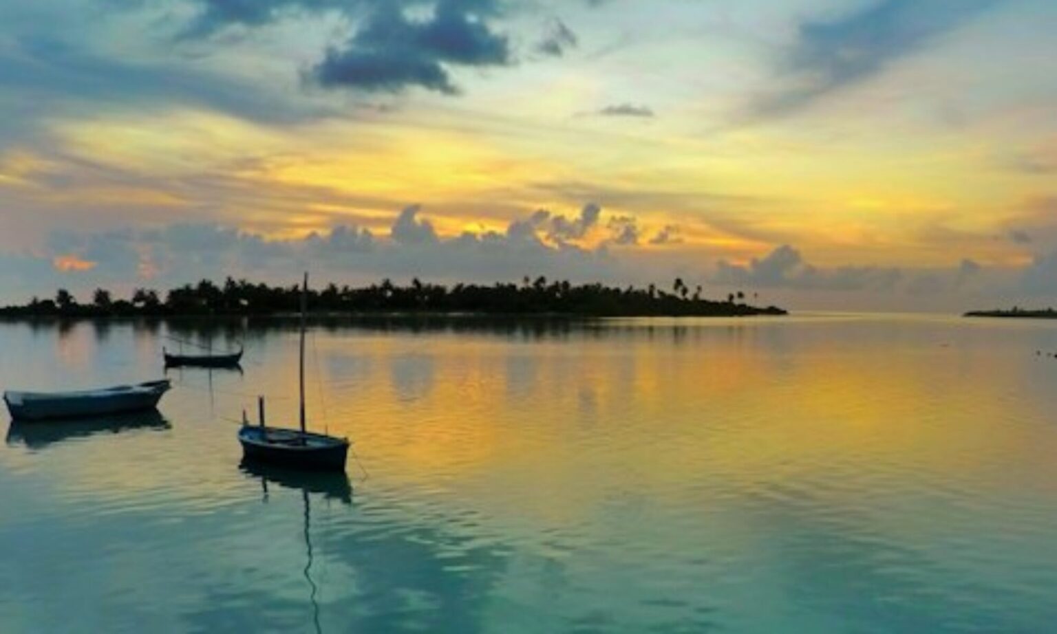 Home - Mississippi Science and Engineering Fairs